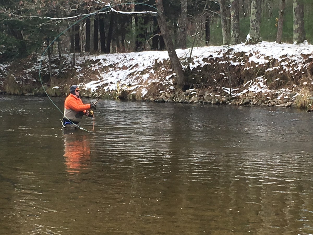 Steelhead Fishing Stinks! – The Wicked Fly