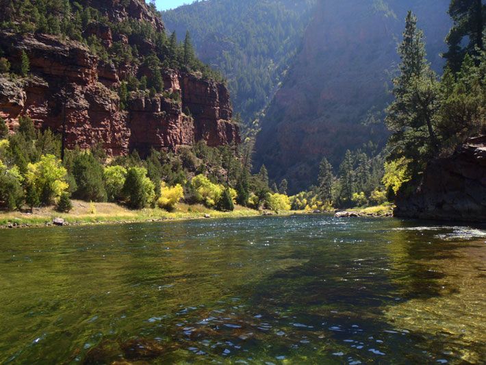 Utah Fly Fishing Shops – The Wicked Fly