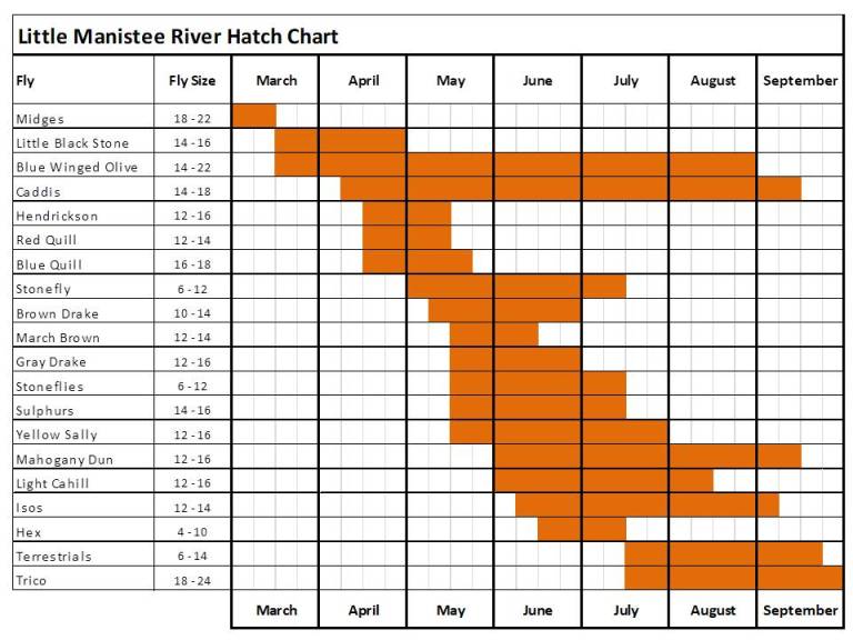 Michigan Fly Fishing Hatch Charts – The Wicked Fly