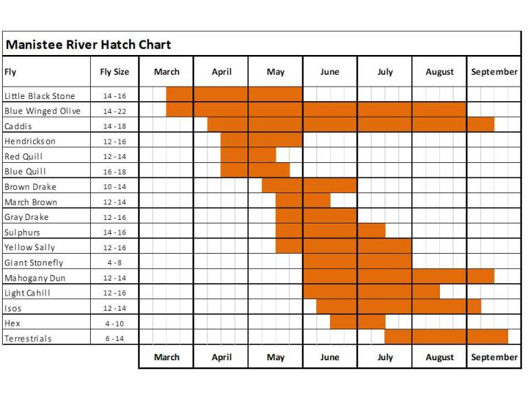 Michigan Fly Fishing Hatch Charts – The Wicked Fly
