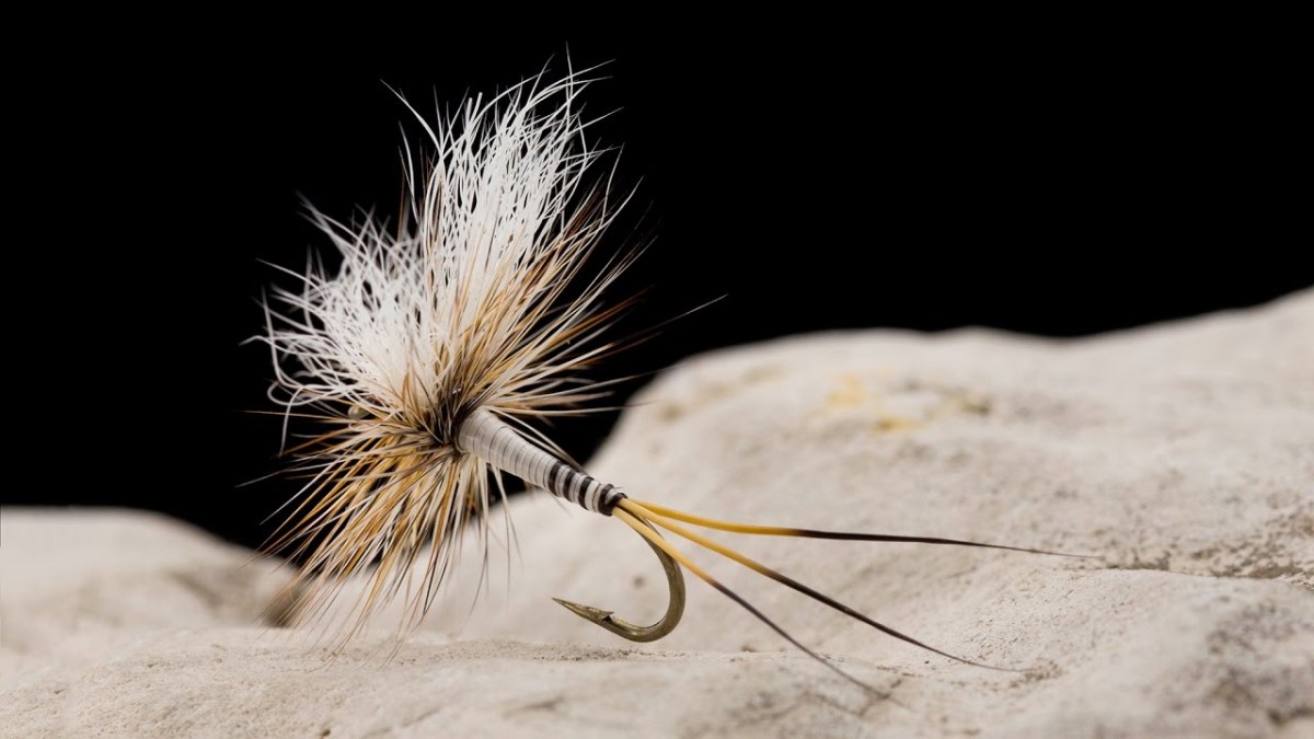 New York Fly Fishing Hatch Charts – The Wicked Fly