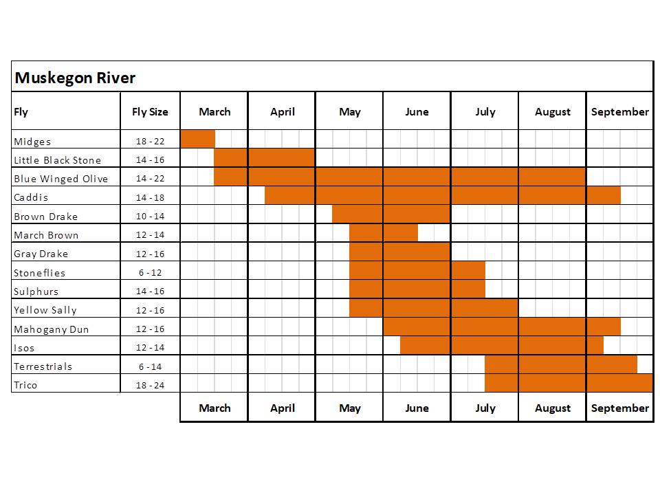 Michigan Fly Fishing Hatch Charts – The Wicked Fly